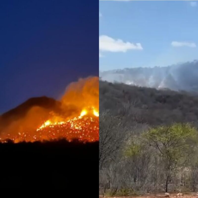 Fogo avança em incêndio florestal na Serra do Cruzeiro e bombeiros ...