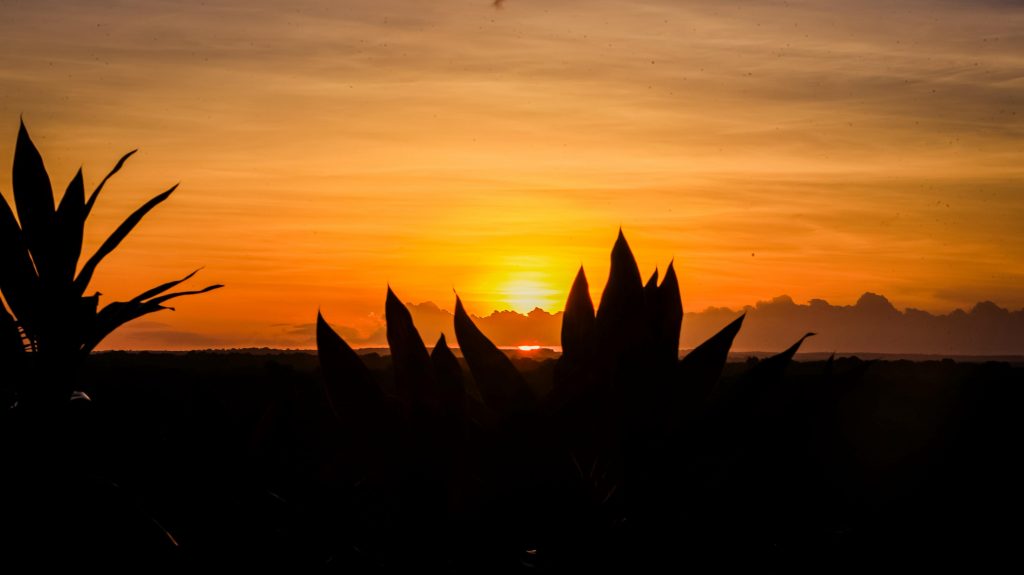 Sol Maior apresenta Pedrinho do Trombone e Gil Violão hoje no Hotel Globo
